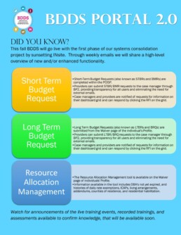 BDDS Improved Portal: Second Update