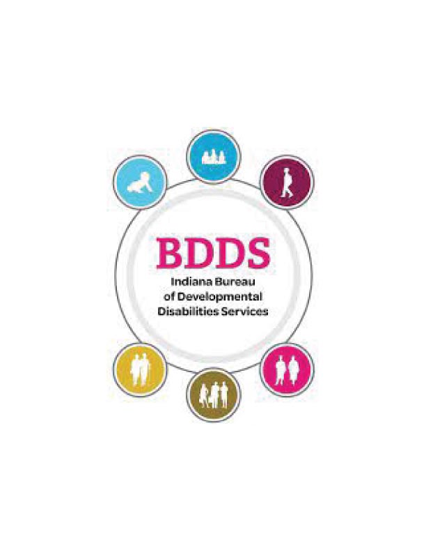 BDDS-Logo
